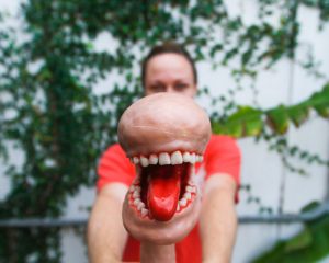 Carnivorous Plant DIY Craft – The Surprise-aholic