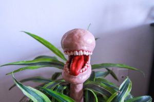Carnivorous Plant DIY Craft – The Surprise-aholic