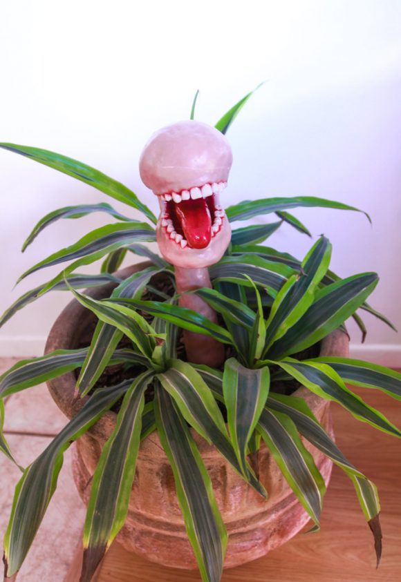 Carnivorous Plant DIY Craft – The Surprise-aholic