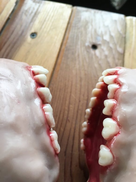 Carnivorous Plant DIY Craft – The Surprise-aholic